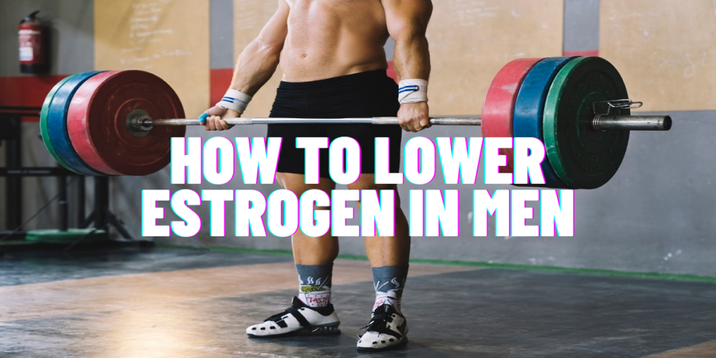 How To Lower Estrogen In Men? What Studies Says!