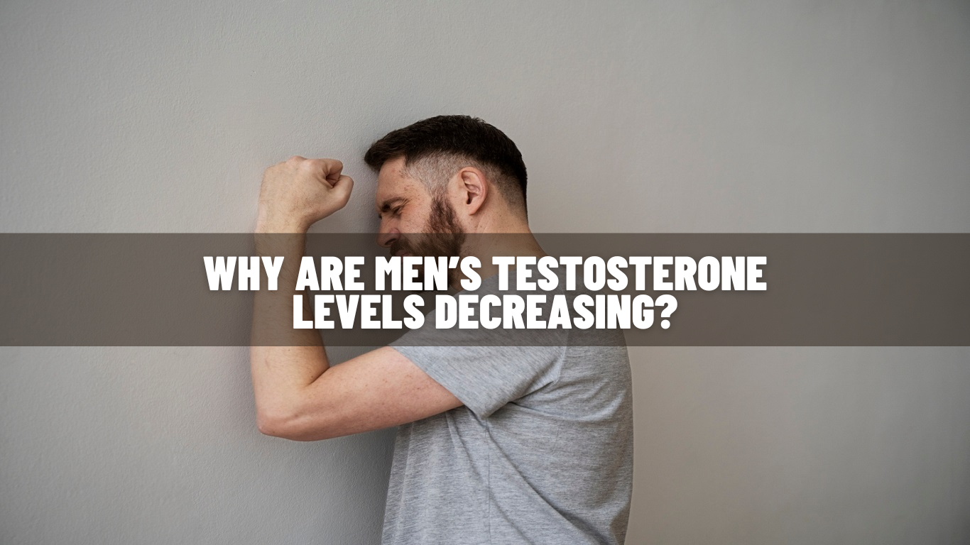 Why Are Men’s Testosterone Levels Decreasing? Know Scientific Facts!