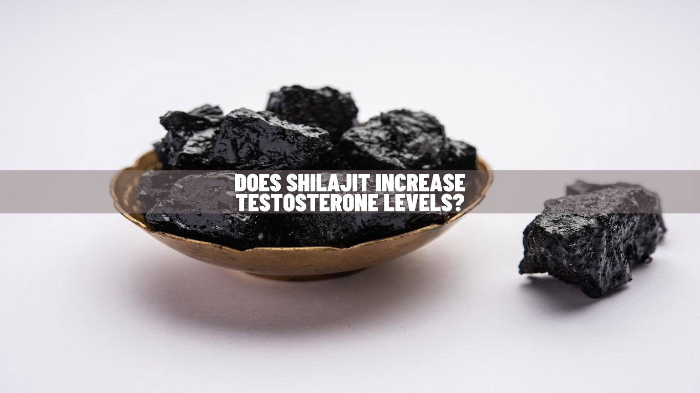 Does Shilajit Increase Testosterone Levels? Scientific Facts