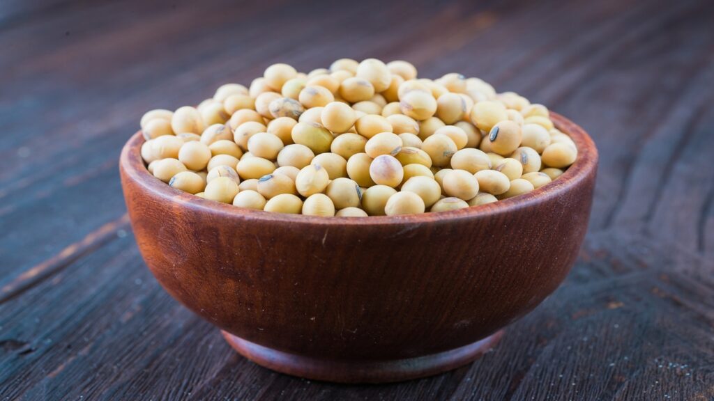 Does Soy Lower Testosterone Levels? Know Science!